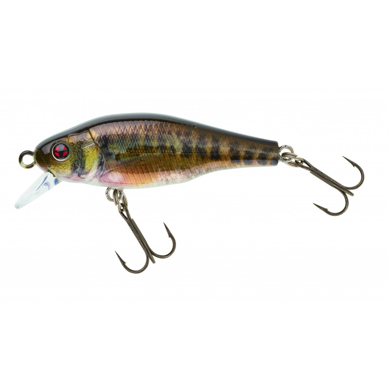 Bien choisir son poisson nageur pour la pêche de la truite