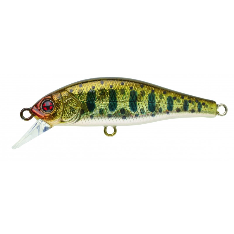 Bien choisir son poisson nageur pour la pêche de la truite